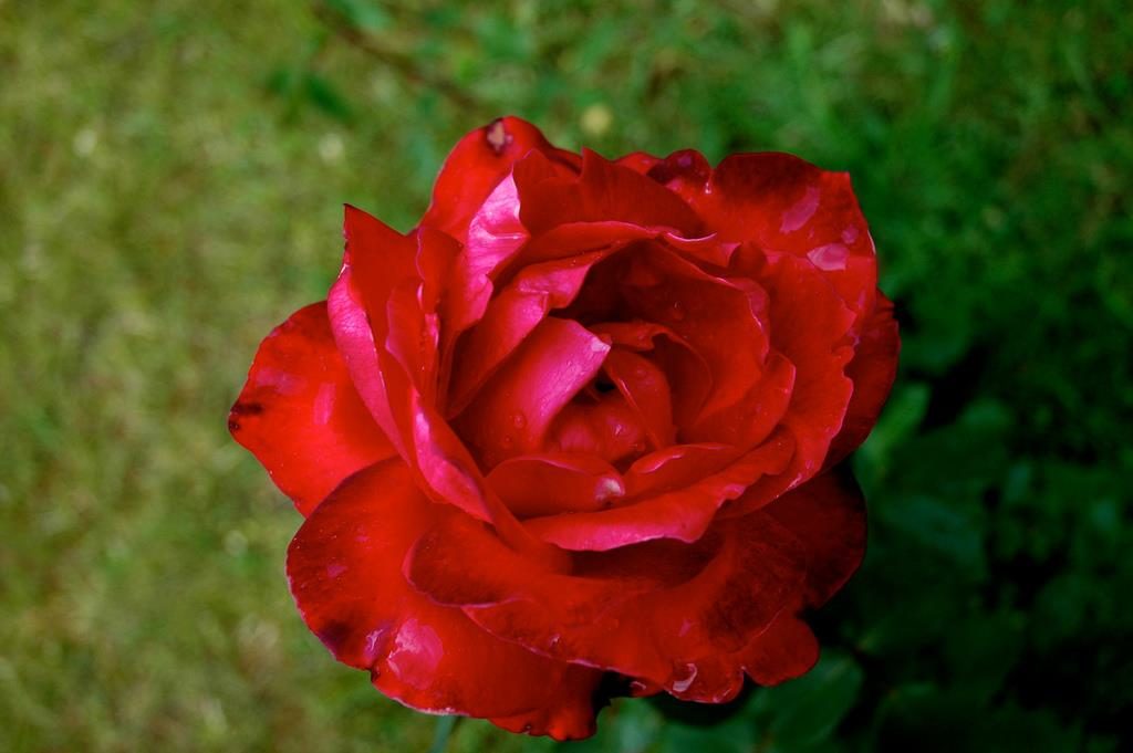 Privacy – ESL Conversation Questions and Speaking Activities