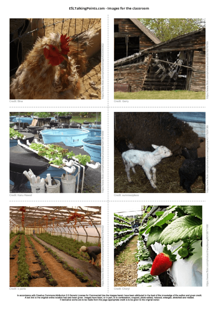 Farming – ESL Conversation Questions and Speaking Activities